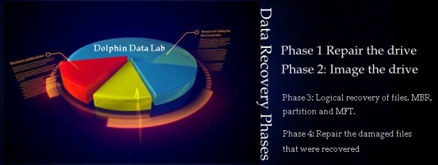 [Infographic] Four Phases Of Data Recovery - Dolphin Data Lab