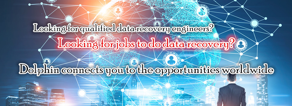 Dolphin Data Lab: HDD Repair & Data Recovery Hardware Tools Dolphin Data Lab: HDD Repair & Data Recovery Hardware Tools
