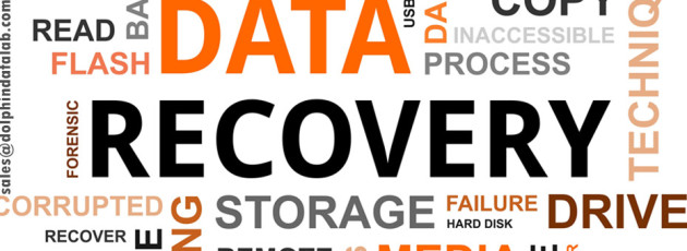 Data Recovery Tools Request from Brazil - Dolphin Data Lab