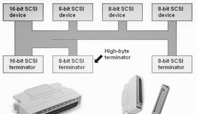 Active Termination - Dolphin Data Lab