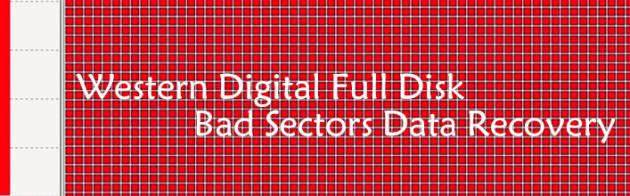 Hard Drive Full Disk Bad Sector Data Recovery - Dolphin Data Lab