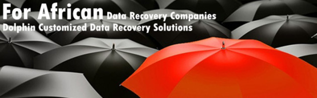 Dolphin Customized Data Recovery Solutions For African Data Recovery ...