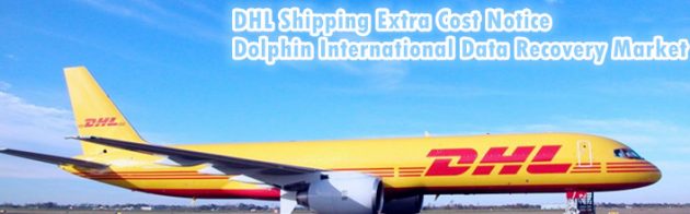 Notice On The Dolphin DHL Extra Shipping Cost - Dolphin Data Lab