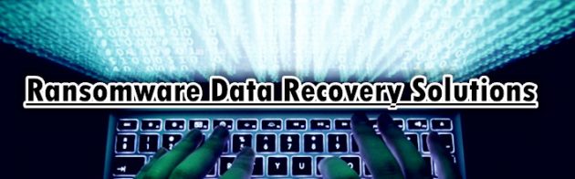 Ransomware Data Recovery Solutions Shared By Dolphin Users - Dolphin ...