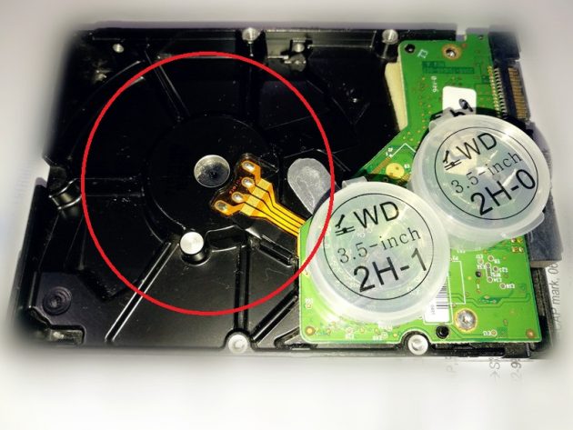 WD-1 Scratched HDD Head Comb Set - Dolphin Data Lab