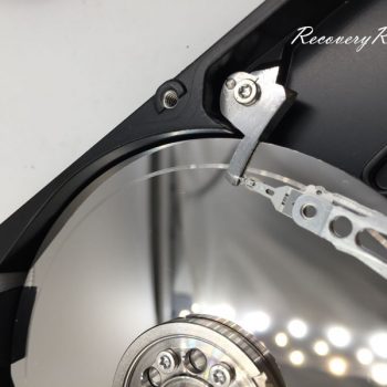 WD-1 Scratched HDD Head Comb Set - Dolphin Data Lab