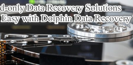 Dolphin Is Simplifying The Product Upgrade Progress - Dolphin Data Lab