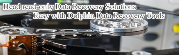 HDD Head Read-only Data Recovery Solution - Dolphin Data Lab