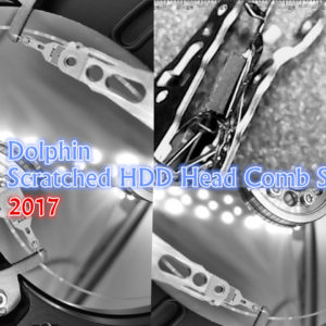 Dolphin Scratched Head Comb Suite 001 - Dolphin Data Lab