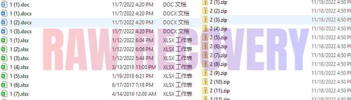 How to Edit File Names After Raw Recovery - Dolphin Data Lab